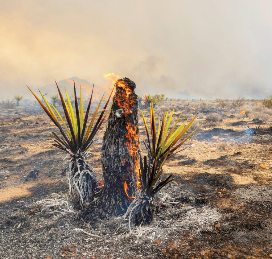 Daily briefing | News, Sports, Jobs - Altoona Mirror